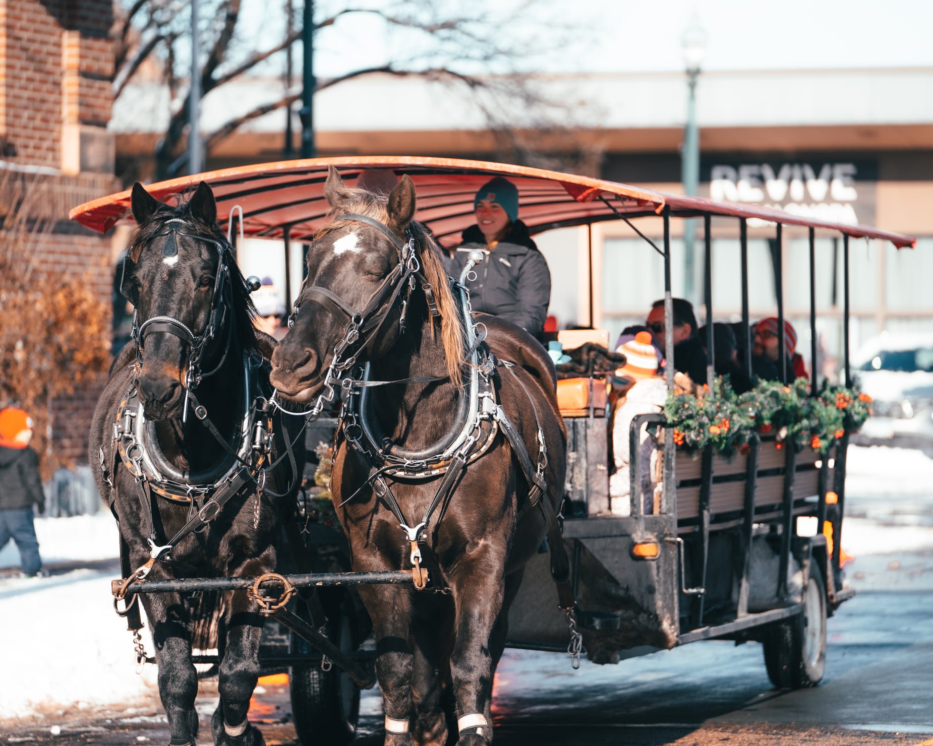 Horse-drawn Carriage Rides - Explore White Bear